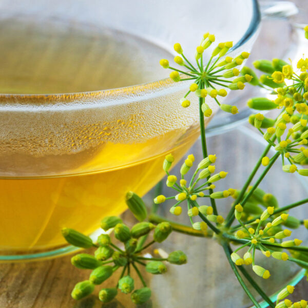 Fenchel Tee Selbst Machen